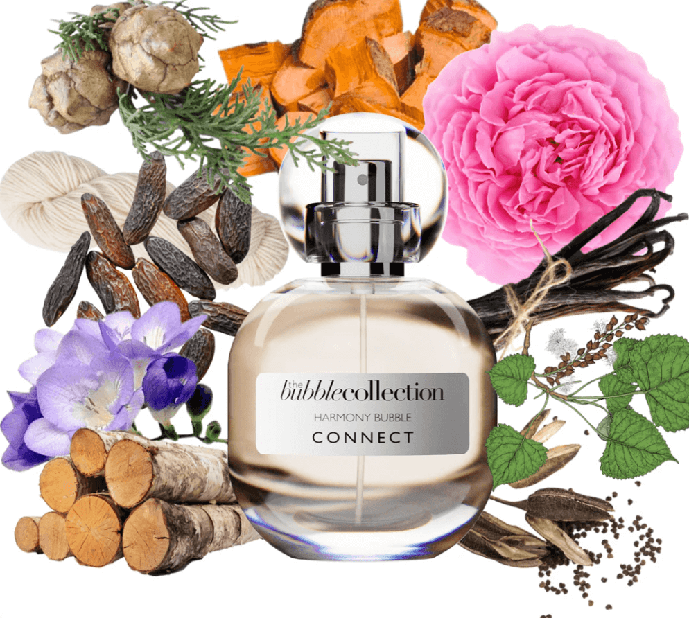 THE BUBBLE COLLECTION - CONNECT– RSVP By Anastasia